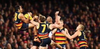 AFL Quizzes | Zero Hanger