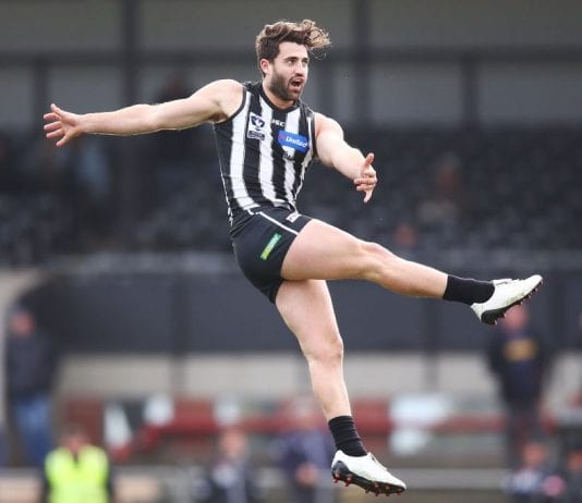 Alex Fasolo | Collingwood Magpies | Player profile, AFL contract, stats ...